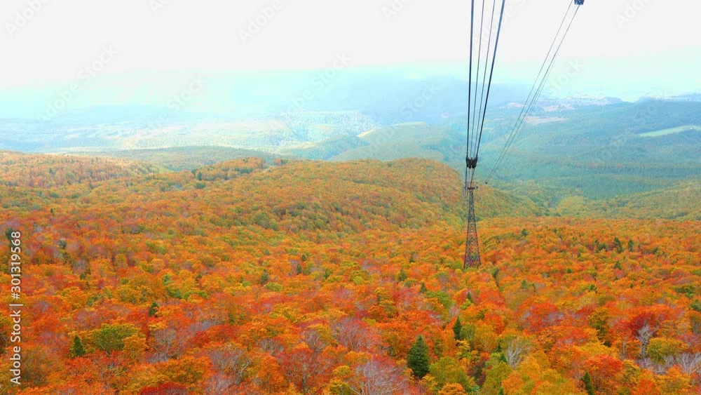 Natural color at the forest of Mount Hakkoda in autumn season. Aerial ...
