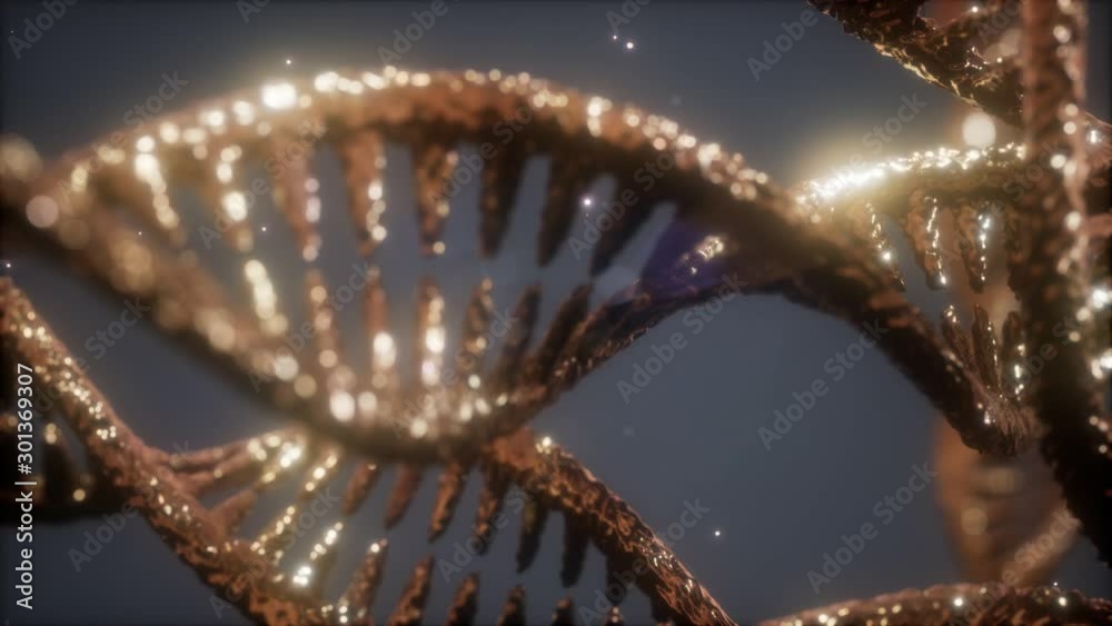 double helical structure of dna strand close-up animation Stock Video ...