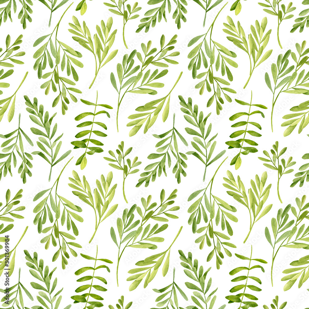 Watercolor tea tree leaves seamless pattern. Hand drawn illustration of ...
