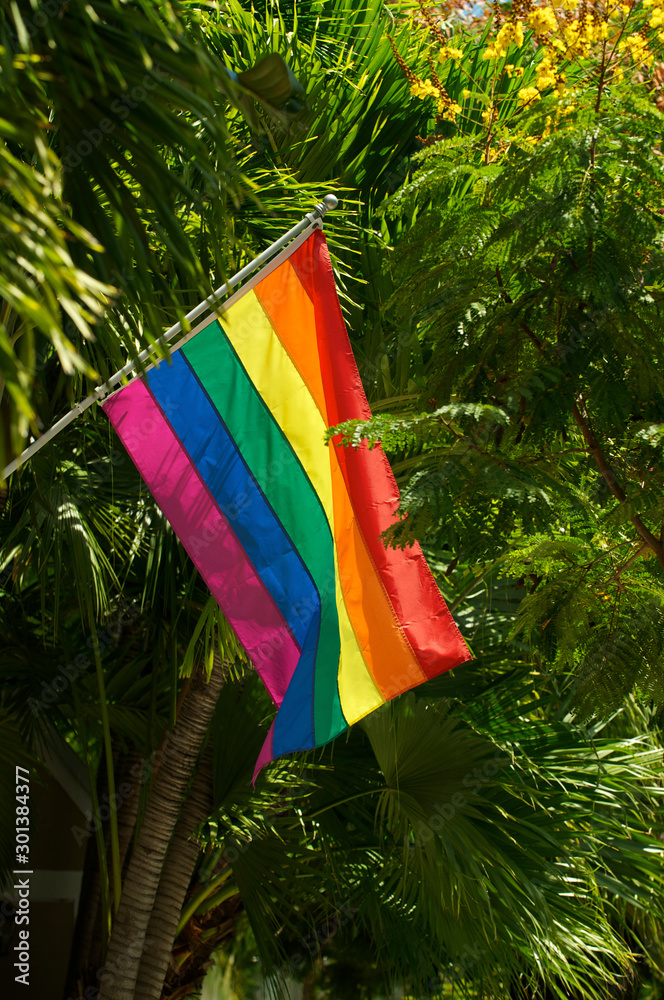 Bright sunny view of gay pride rainbow flag hanging between palm trees ...