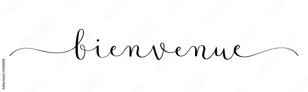 Calligraphie vecteur noir BIENVENUE Stock Vector | Adobe Stock