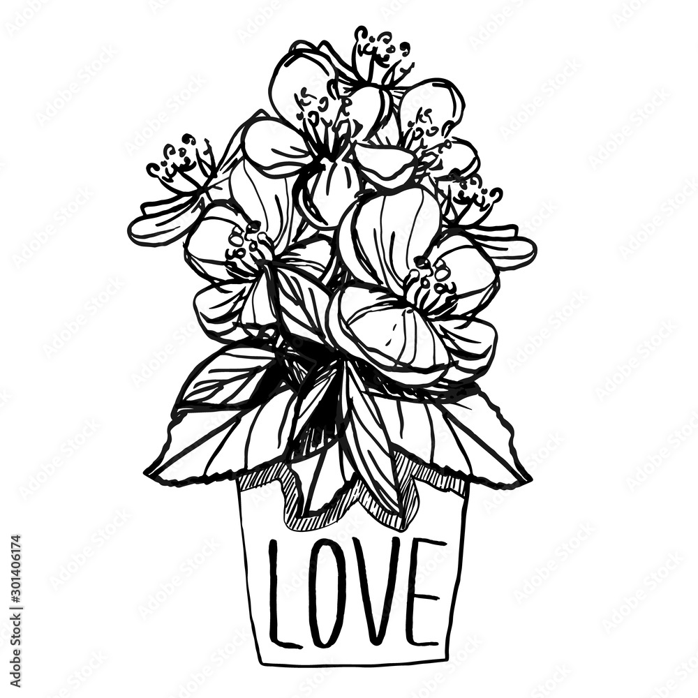 flower line art Ink, pencil, the leaves and flowers of apple isolated ...