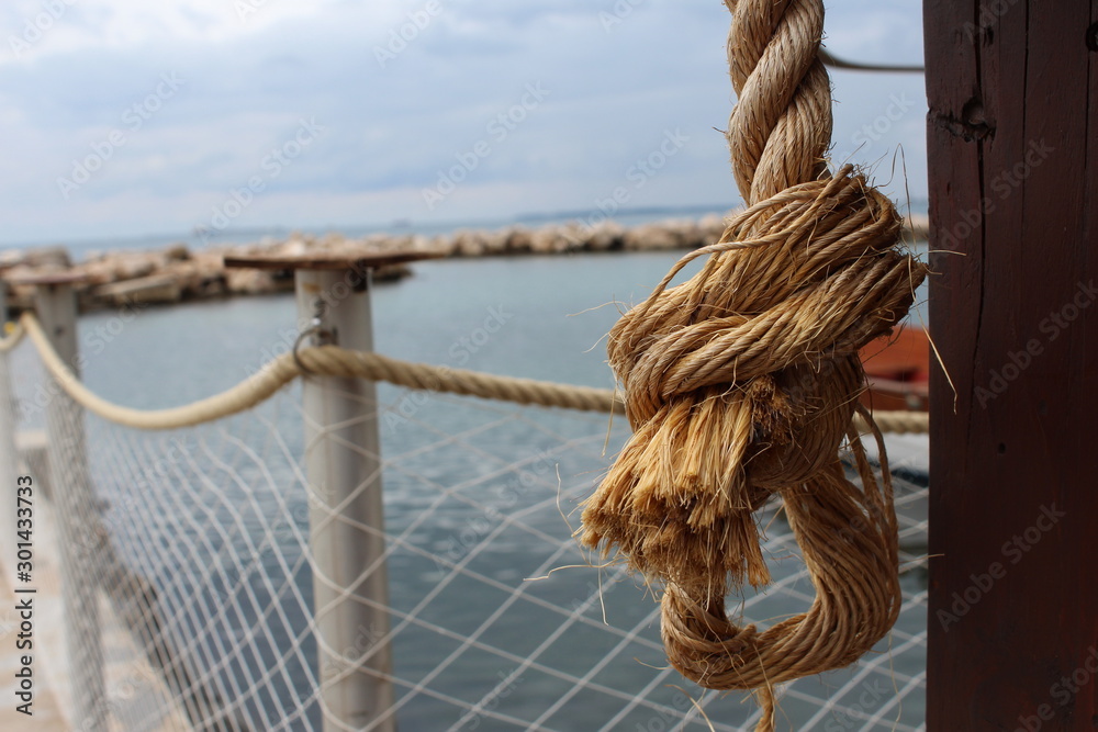 nodo Stock Photo | Adobe Stock