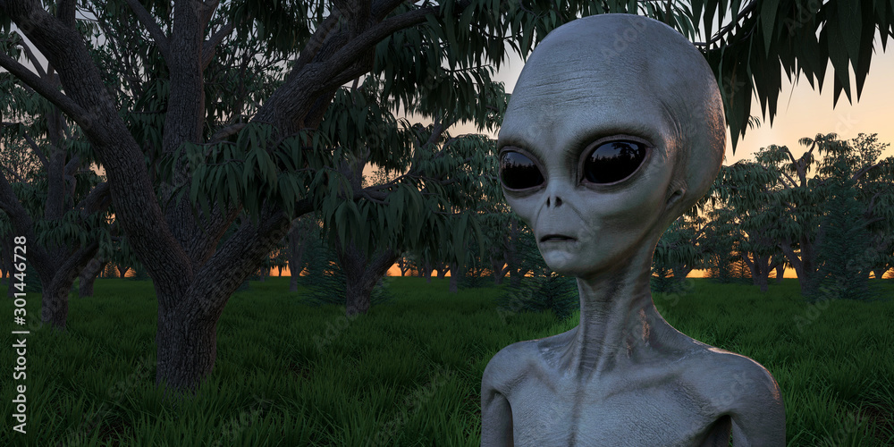 Alien Grey Humanoid Extraterrestrial Being in a forest extremely ...