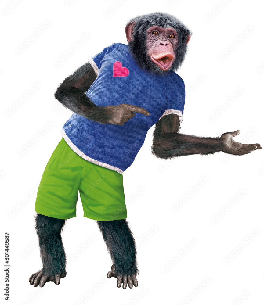 chimpanzé, singe, jeune, animal, habillé en homme, sympa, fort ...