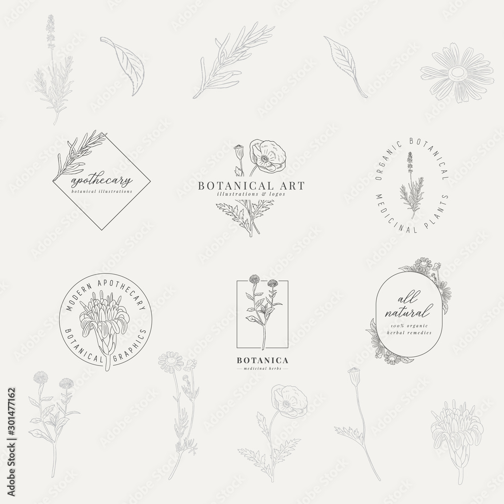 Set of 6 botanical logos. Hand drawn botanical illustrations with ...