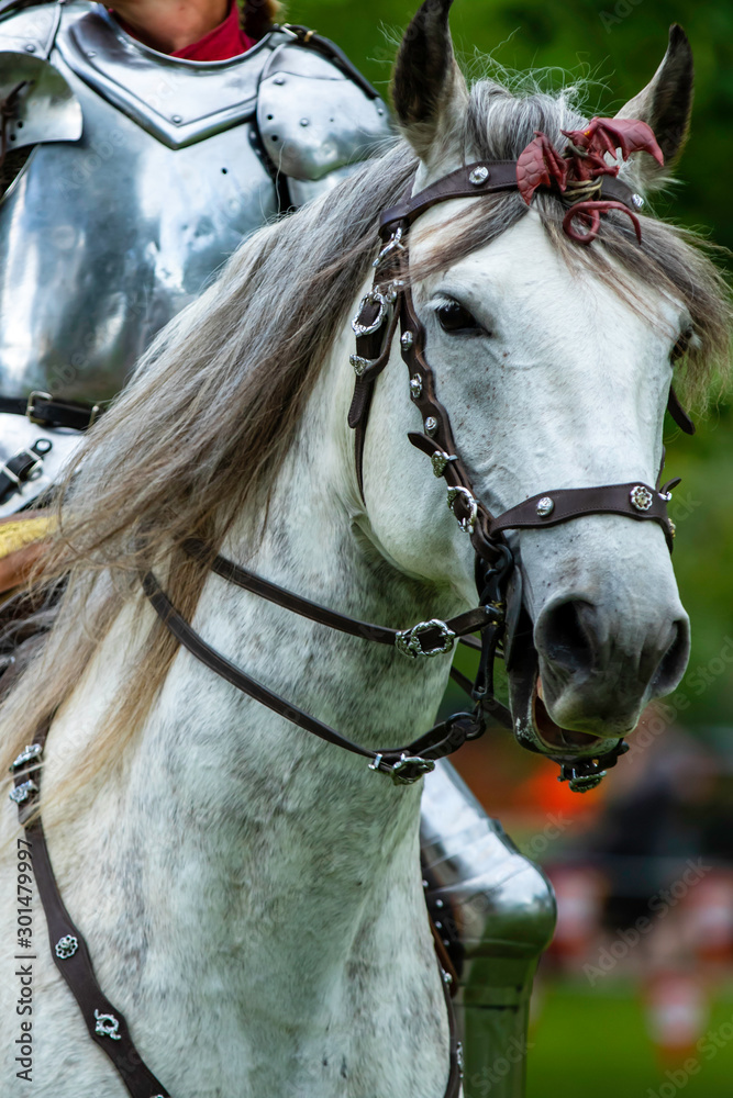 White Knight On Horse