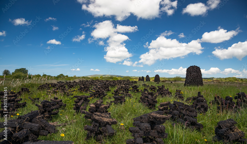 Pile of peat bog turf stacked up in field in rural county Kerry ...
