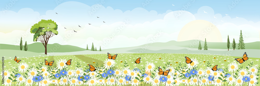 Cartoon Field Of Flowers