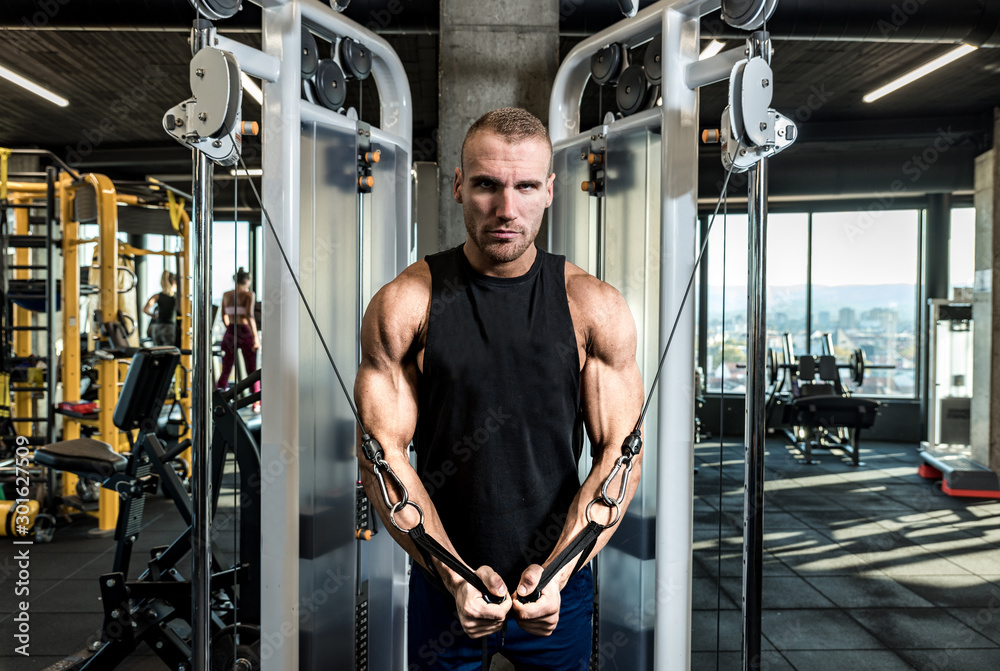 Young strong sweaty focused fit muscular bodybuilder man chest ...