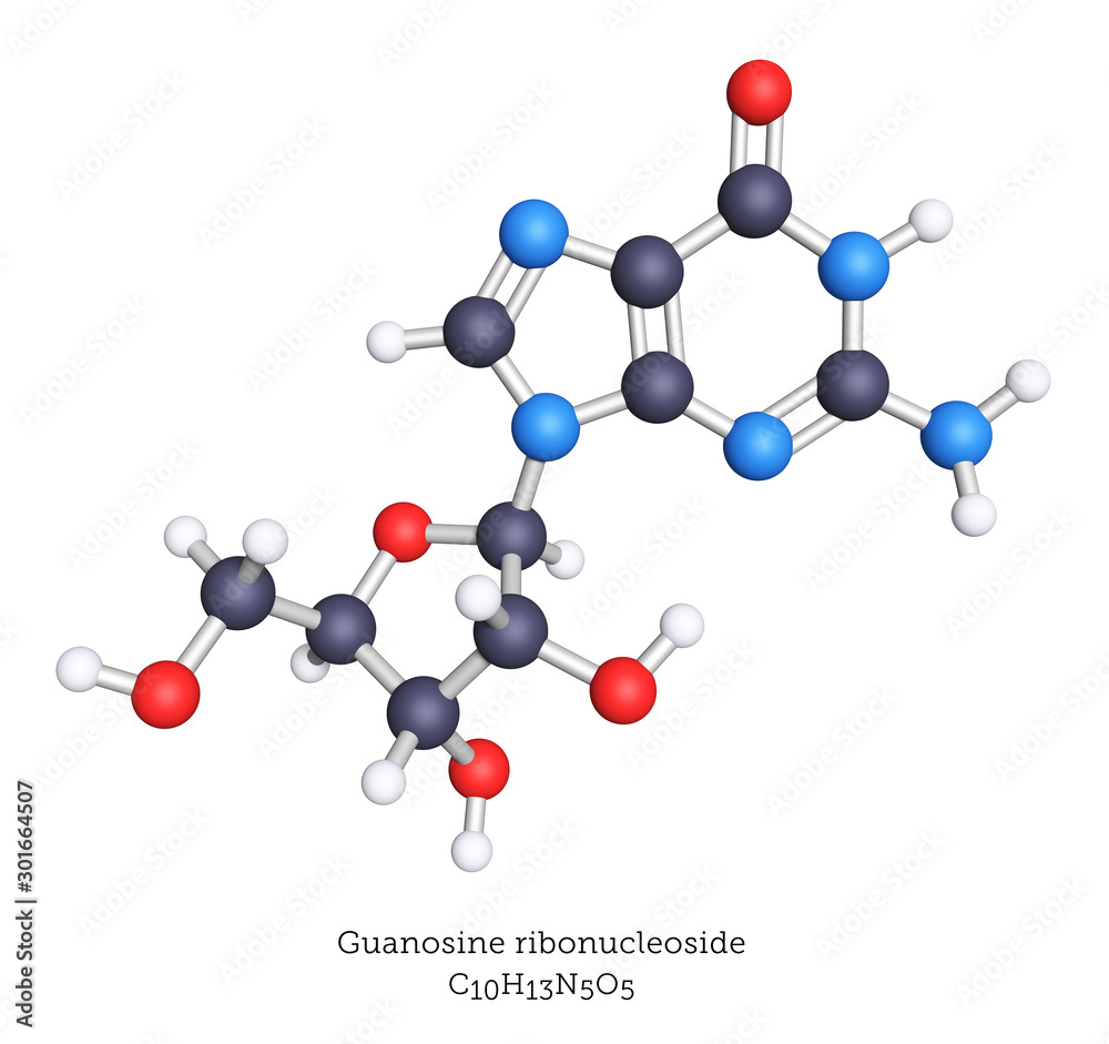Guanosine is a nucleoside of RNA, composed of guanine as the nucleobase ...