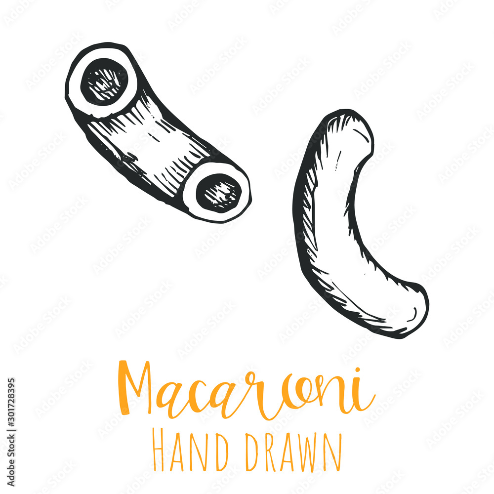 Macaroni type pasta hand drawn vector illustration, isolated sketched ...