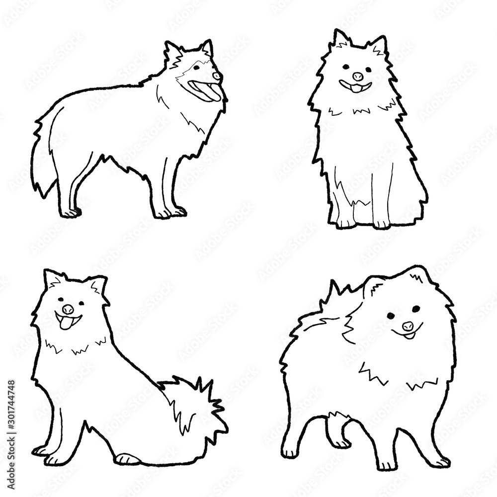 German Spitz Animal Vector Illustration Hand Drawn Cartoon Art Stock ...