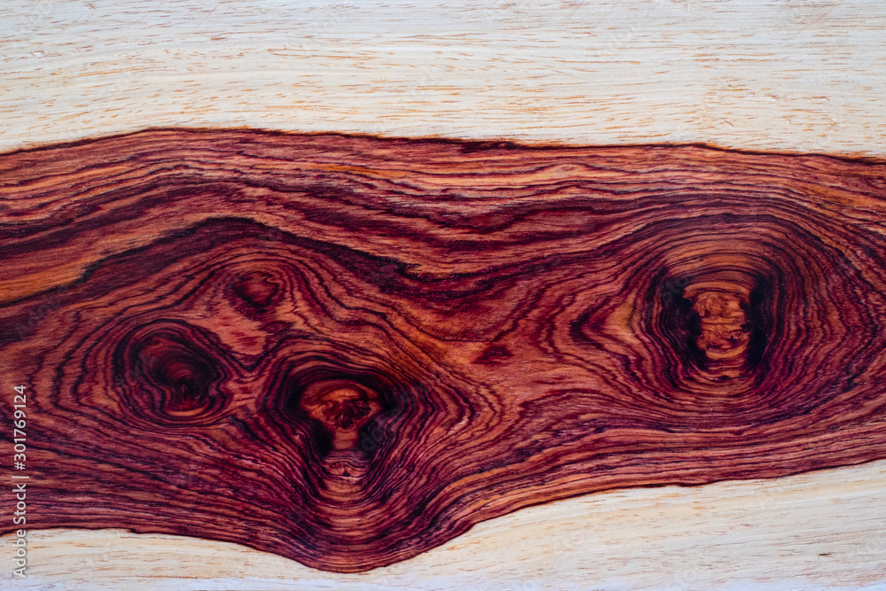 Nature Burmese rosewood Stock Photo | Adobe Stock