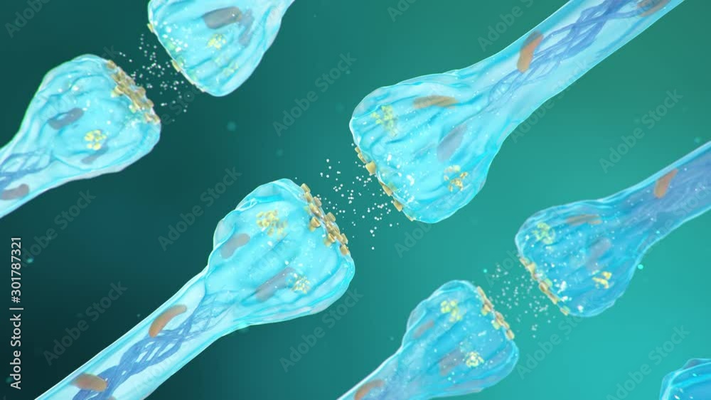 Synaptic transmission, nervous system receptors. Concept consciousness ...