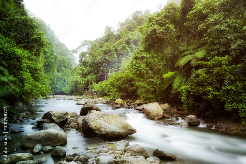 Beautiful landscape view of the a river in the rainforest during a ...