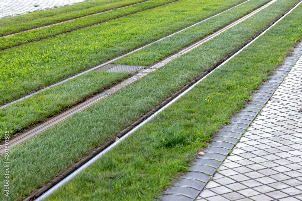 rails de tramway Stock Photo | Adobe Stock
