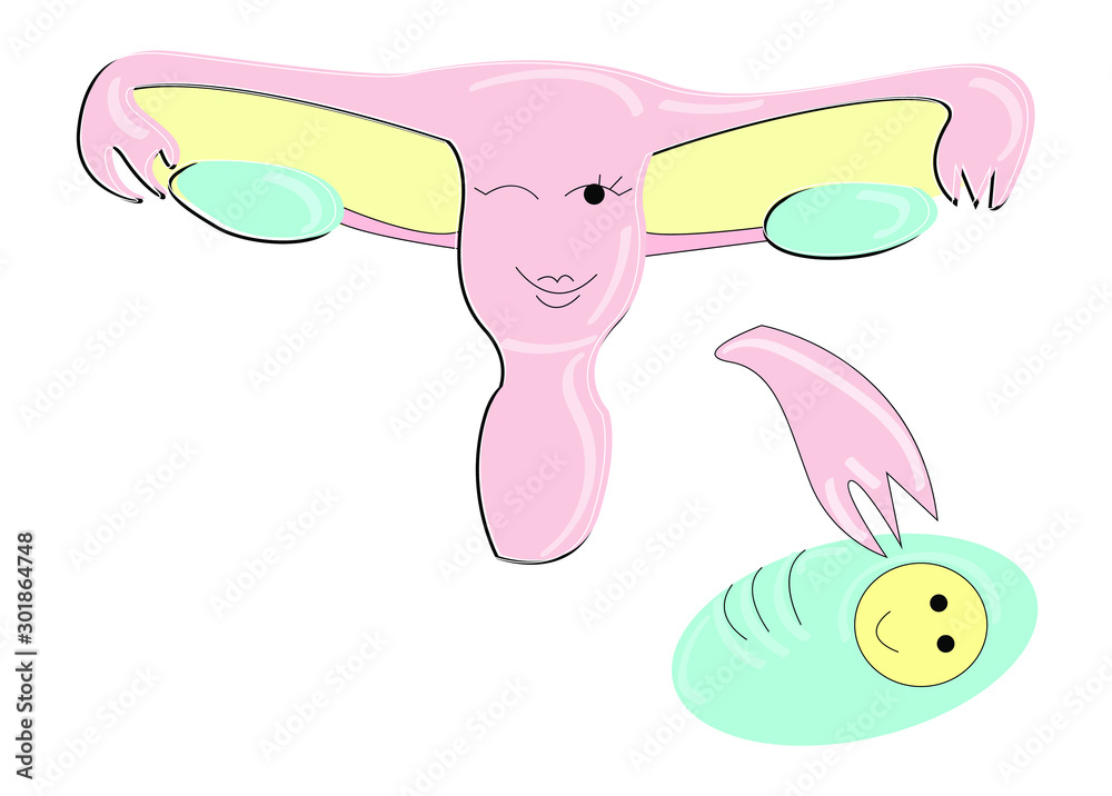 Vector illustration isolated cartoon uterus and separately enlarged ...