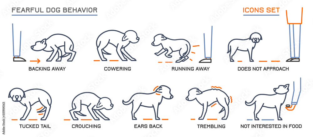 Dog Behavior Icons Set Stock Vector | Adobe Stock