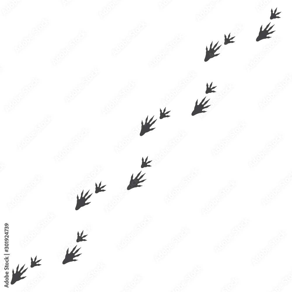 Footpath trail of animal. Imprints of the paws of a mouse or rat. Stock ...