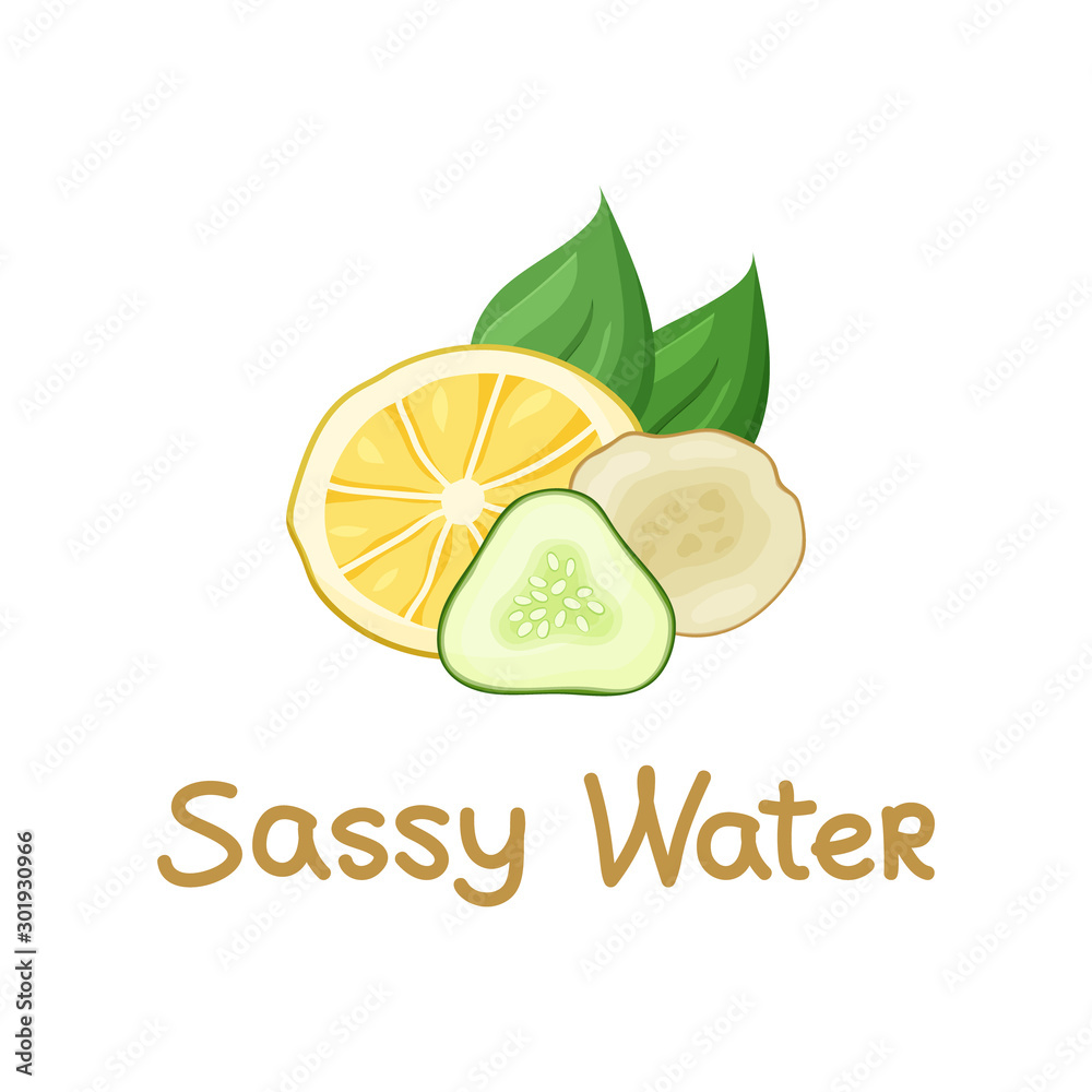 Sassy water poster. Ingredients with text. Flat food vector ...
