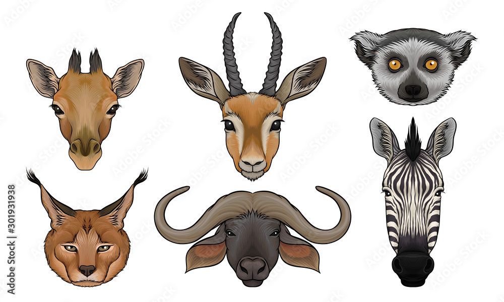 Wild Animals Muzzles Vector Set. Highly Detailed Neb Collection Stock ...