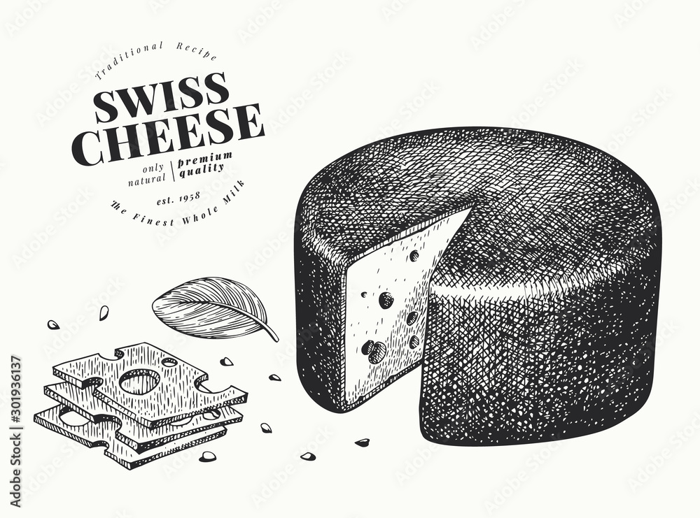Swiss Cheese Illustration