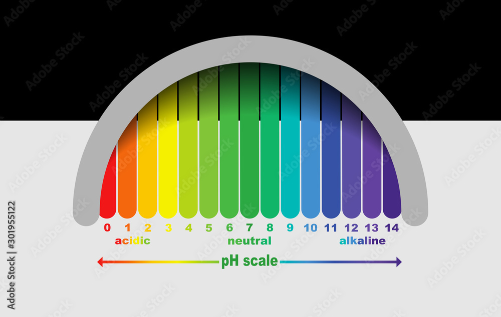 scale of ph value for acid and alkaline solutions, infographic acid ...