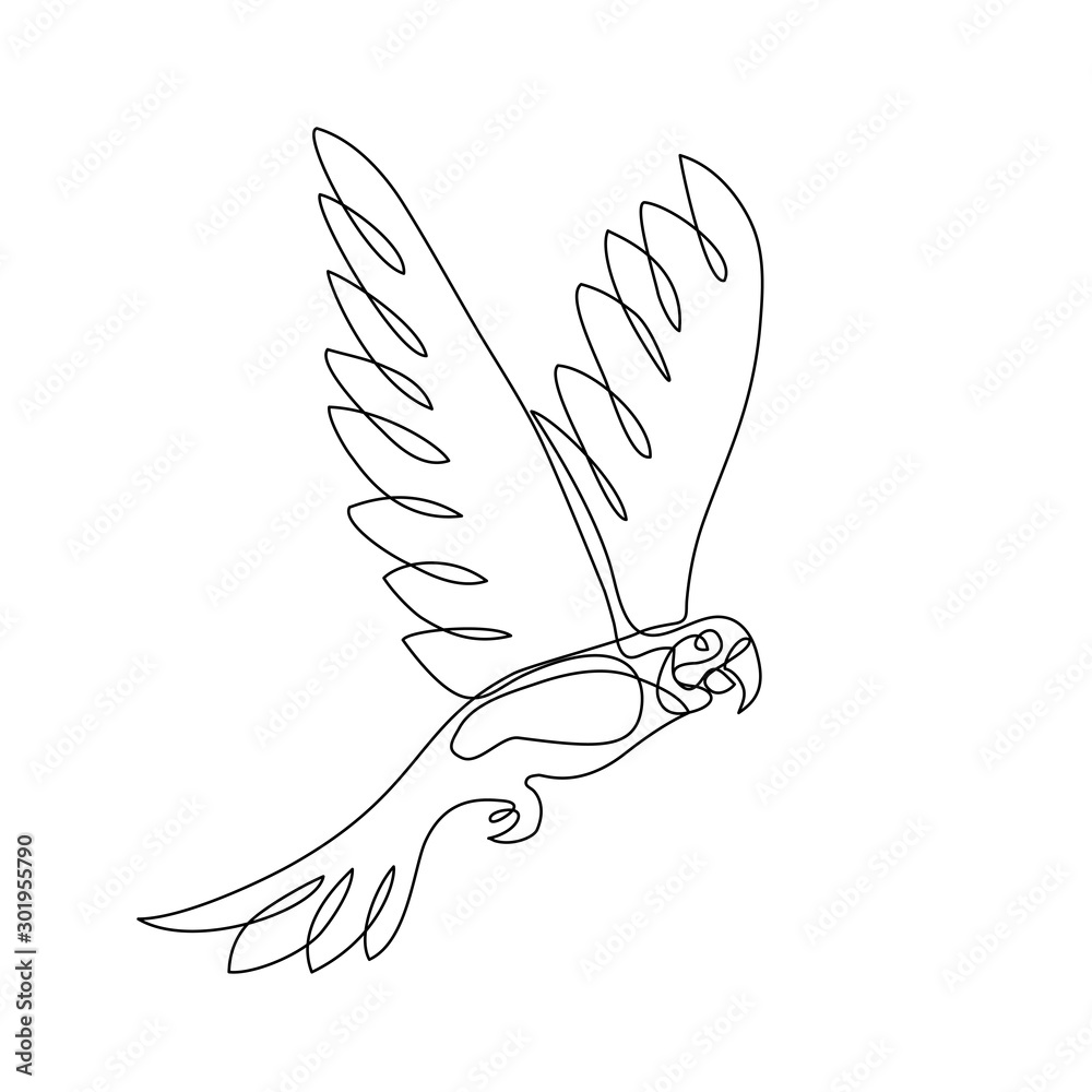Continuous line drawing. Parrot bird. illustration Stock Vector | Adobe ...