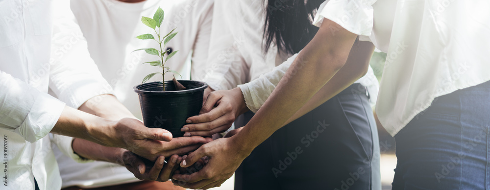 Panoramic group of volunteers hands planting tree seedling in park ...