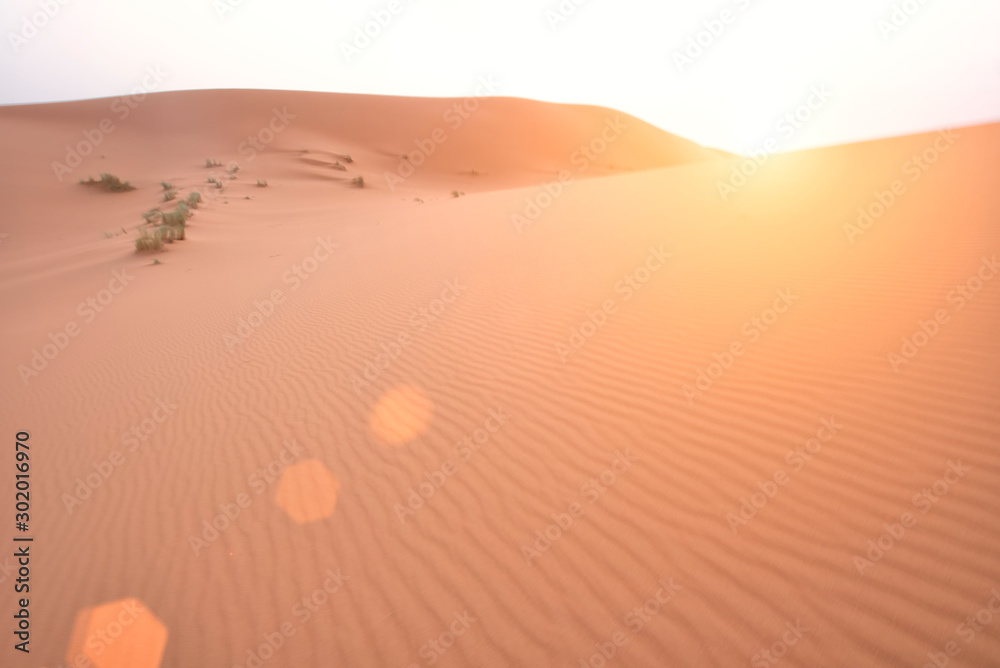 The beauty of the sand dunes in the Sahara Desert in Morocco. The ...