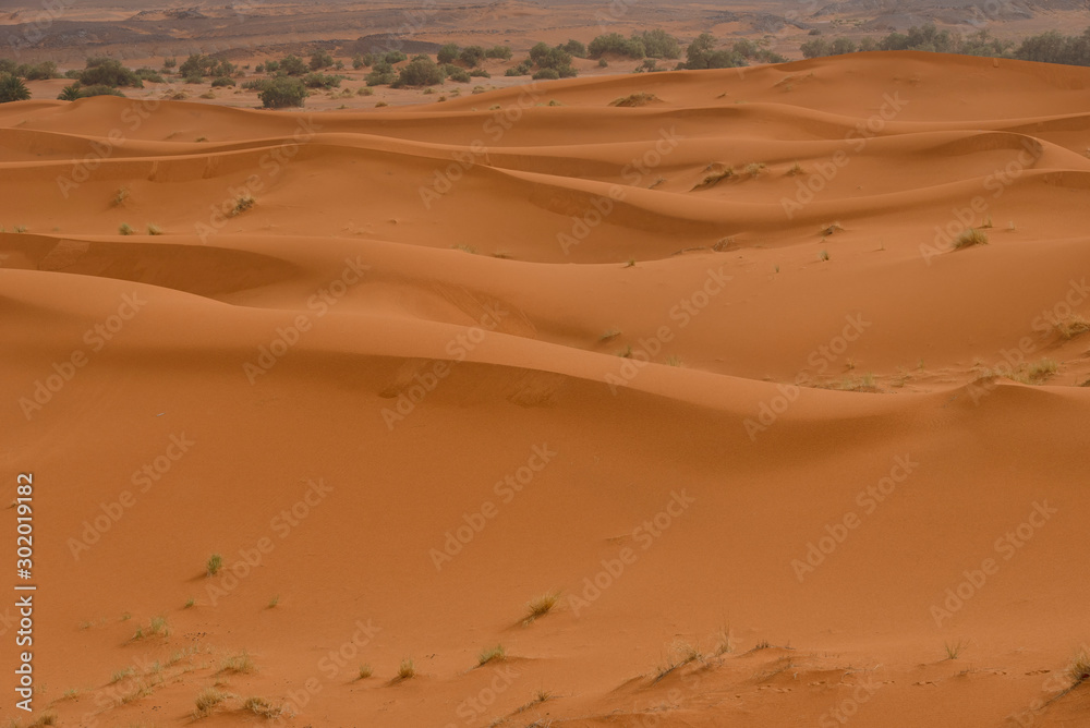 The beauty of the sand dunes in the Sahara Desert in Morocco. The ...