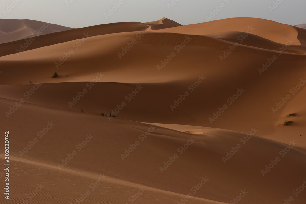 The beauty of the sand dunes in the Sahara Desert in Morocco. The ...