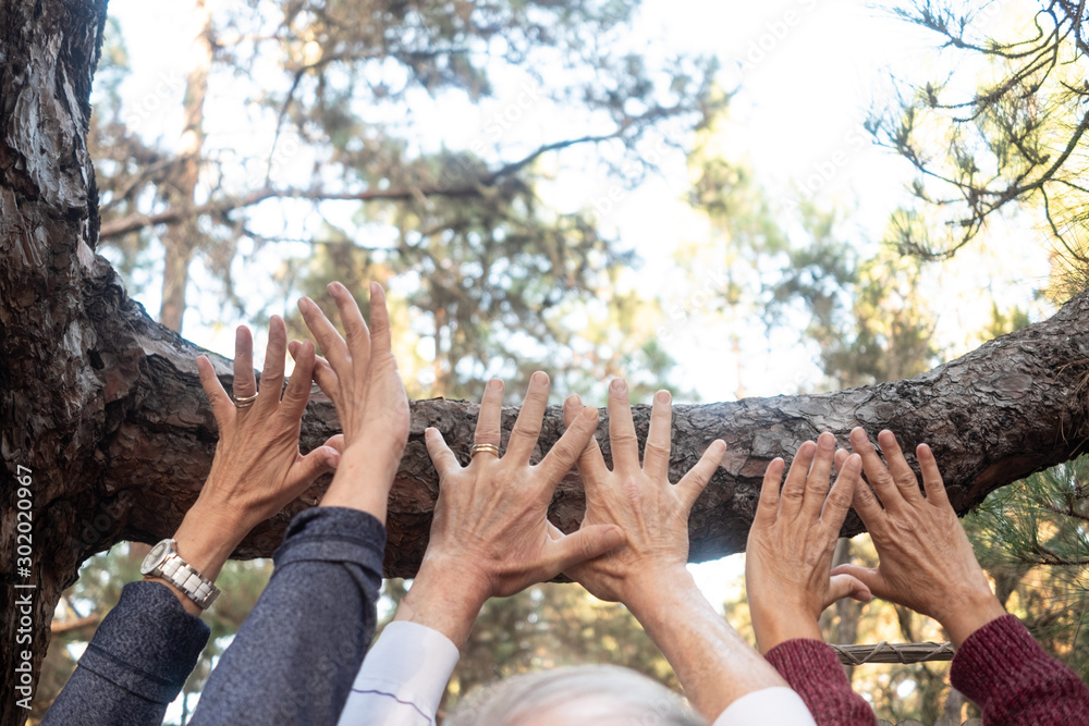 Hands Tree Logo Three