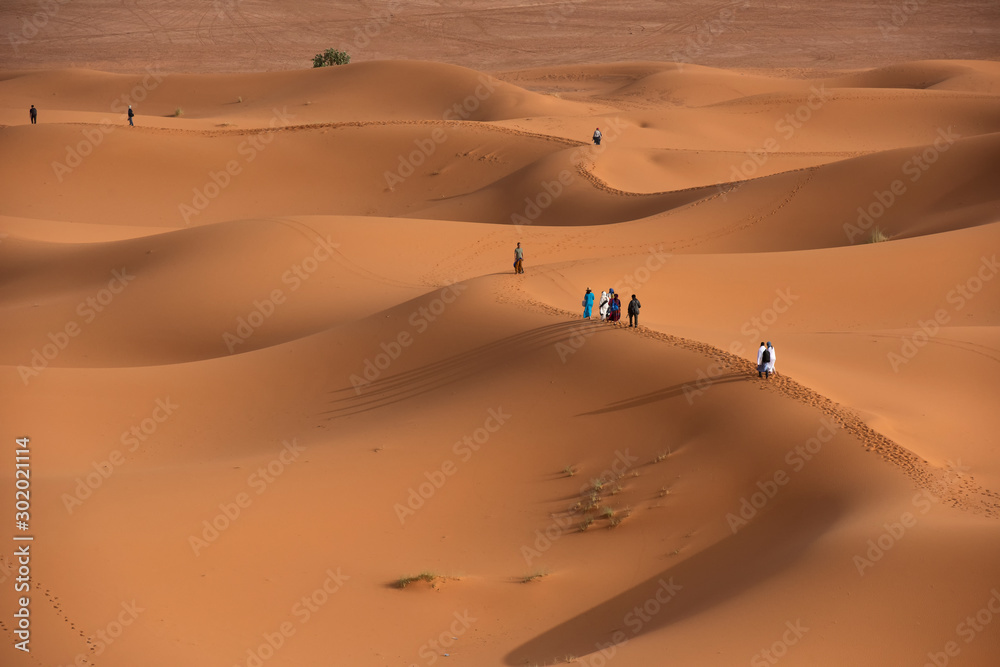 The beauty of the sand dunes in the Sahara Desert in Morocco. The ...