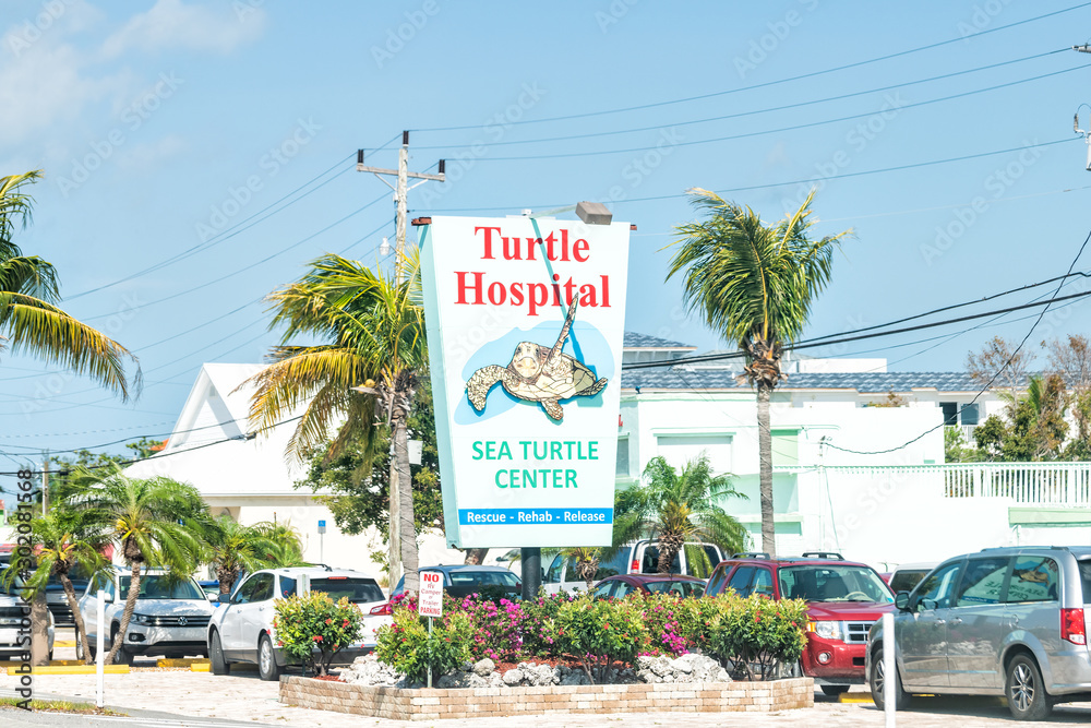 Marathon, USA - May 1, 2018: Turtle Hospital, Sea center, clinic for ...