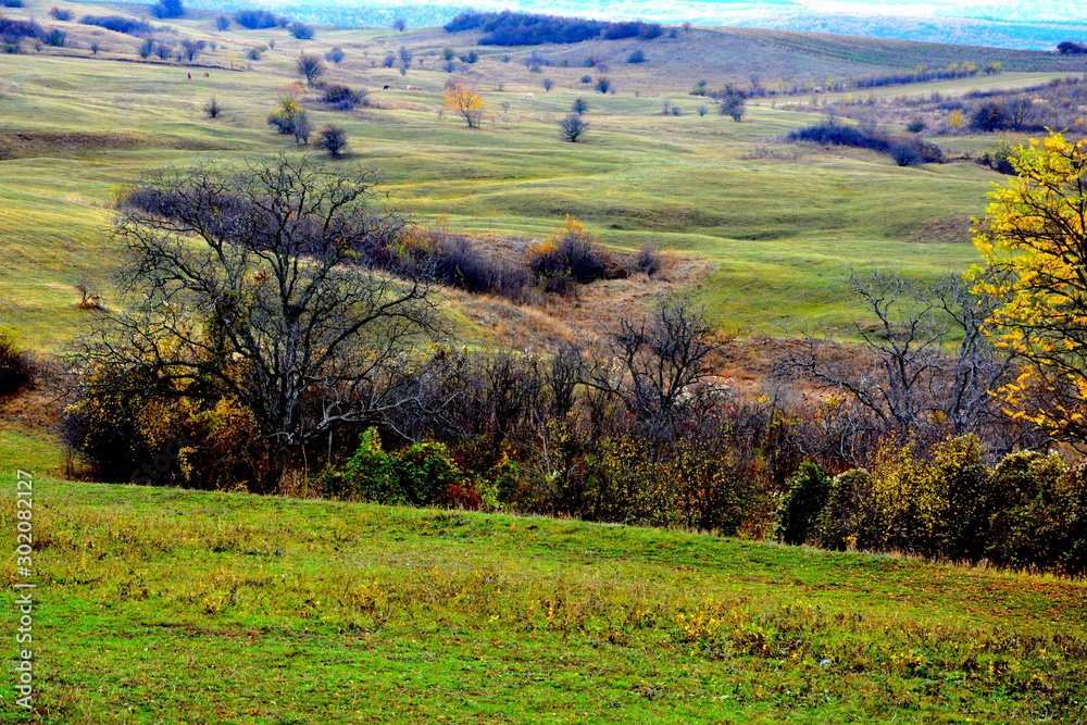 Typical rural landscape and peasant houses in Garbova, Transylvania ...