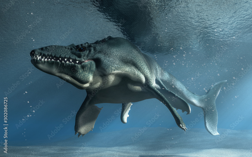 An mosasaur swims towards you in shallow seas. Mosasaurs were a group ...