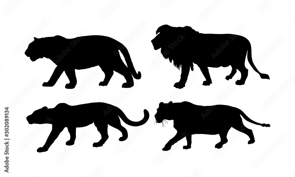 Big wild cat collection. Lion and lioness silhouette. Tiger vector ...