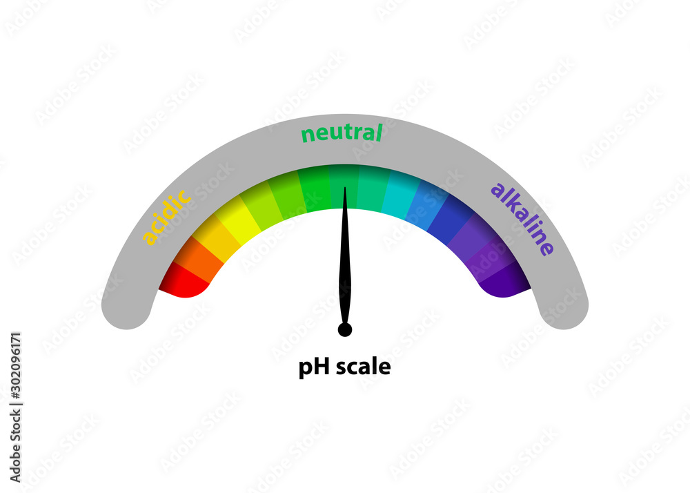 scale of ph value for acid and alkaline solutions, infographic acid ...