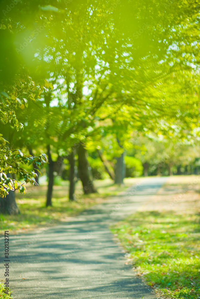 500+ Dslr background pic For adding depth to your photos