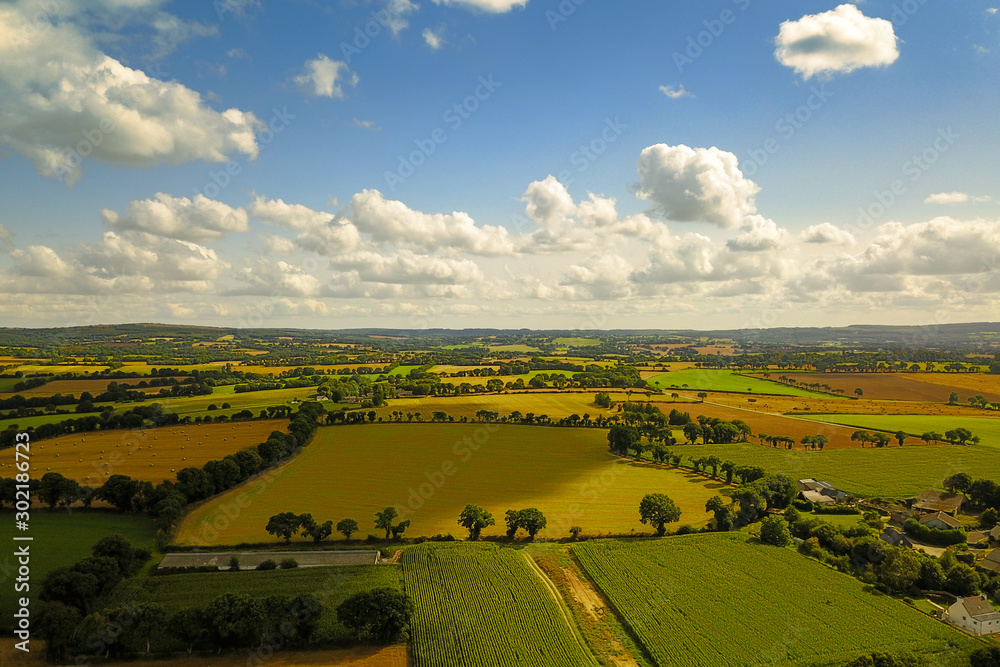 Idyllic landscape with fields in summer Stock Photo | Adobe Stock