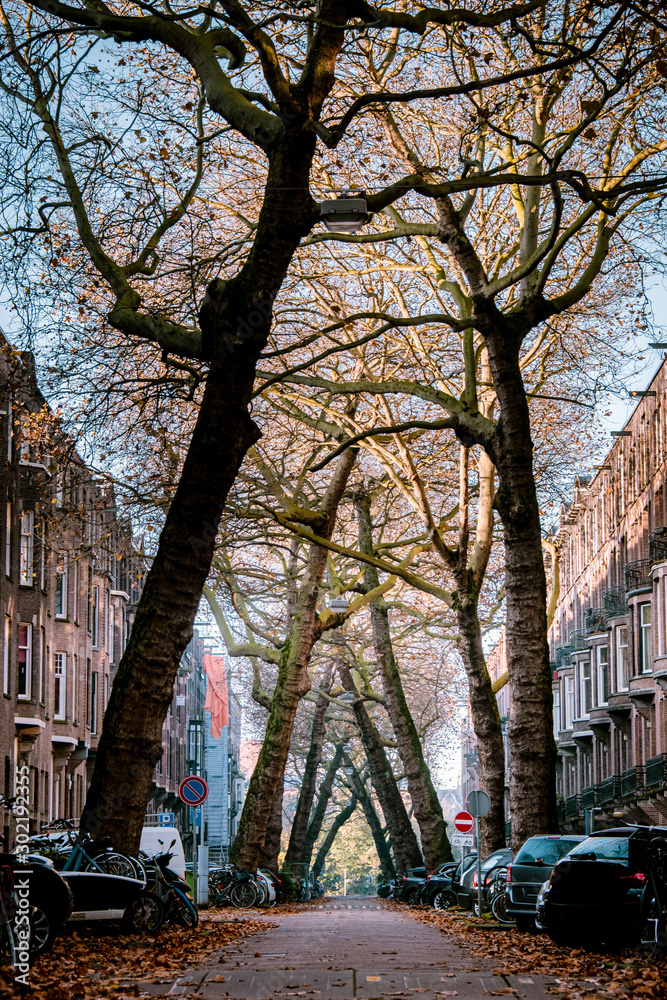 Autumn in Amsterdam, couple walking at street in Amsterdam with leaning ...