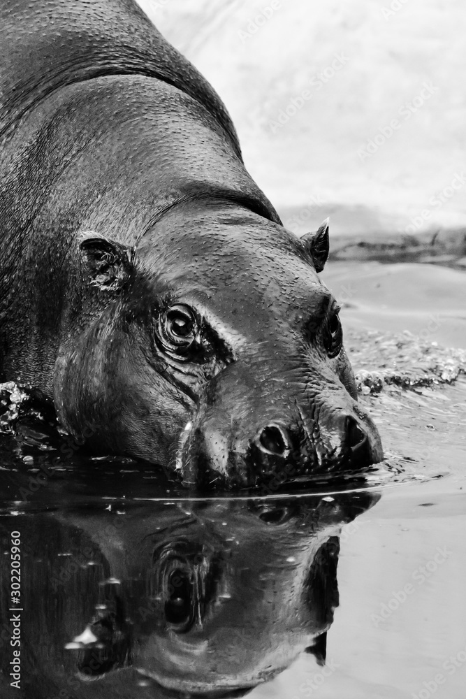 Disturbance Photography