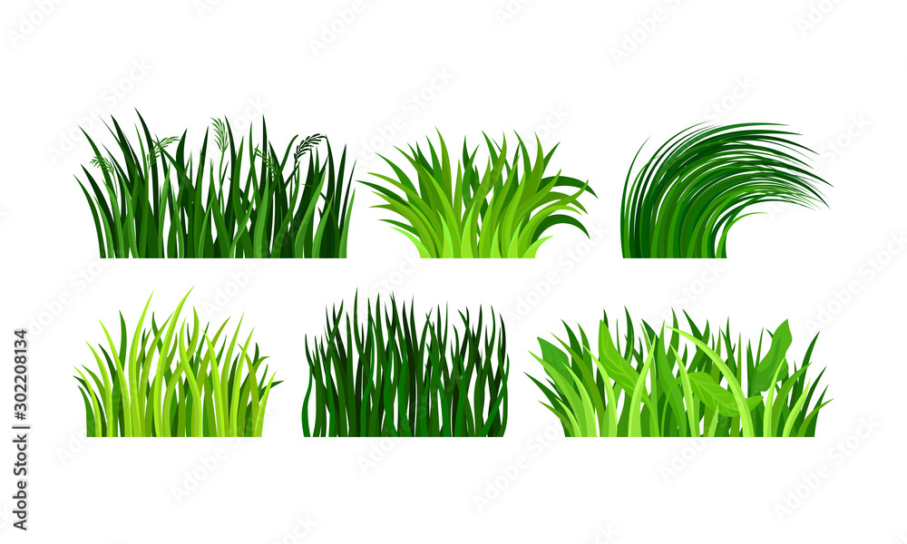 Six Types Of Different Tufts Of Green Grass Vector Illustration Set ...