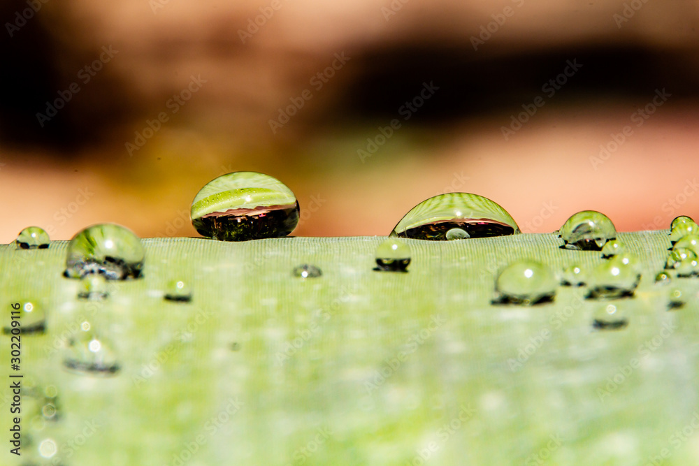 Water droplets and the color of raindrops in the rainy season Stock ...