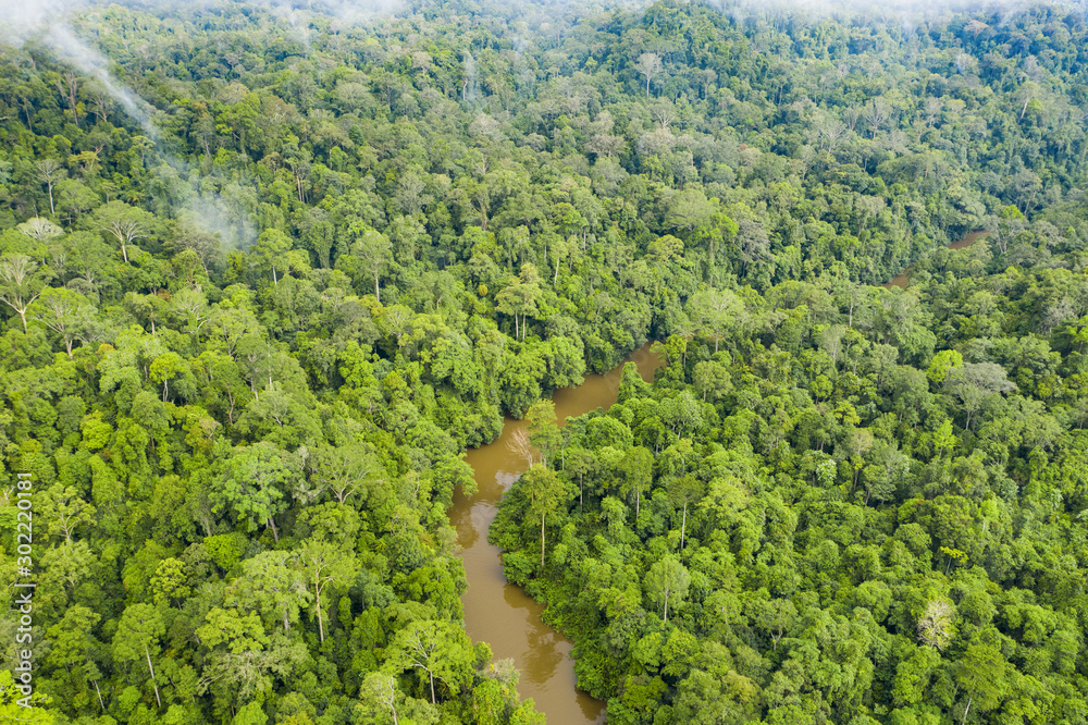 View from above, stunning aerial view of a tropical rainforest with the ...