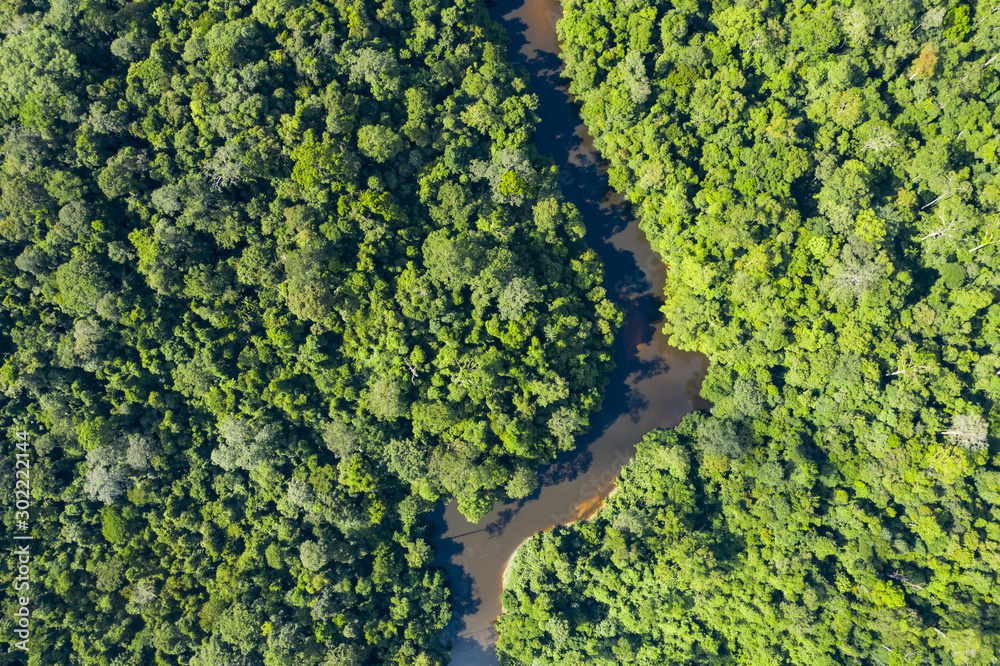 View from above, stunning aerial view of a tropical rainforest with the ...