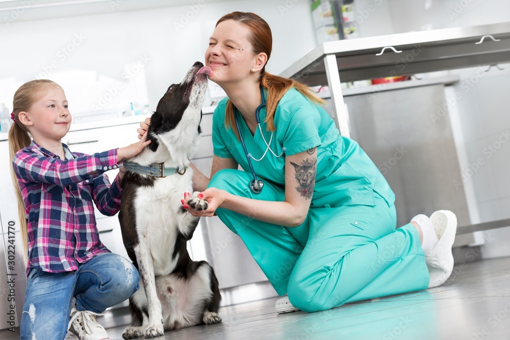 Vet playing with dog and owner at clinic Stock Photo | Adobe Stock