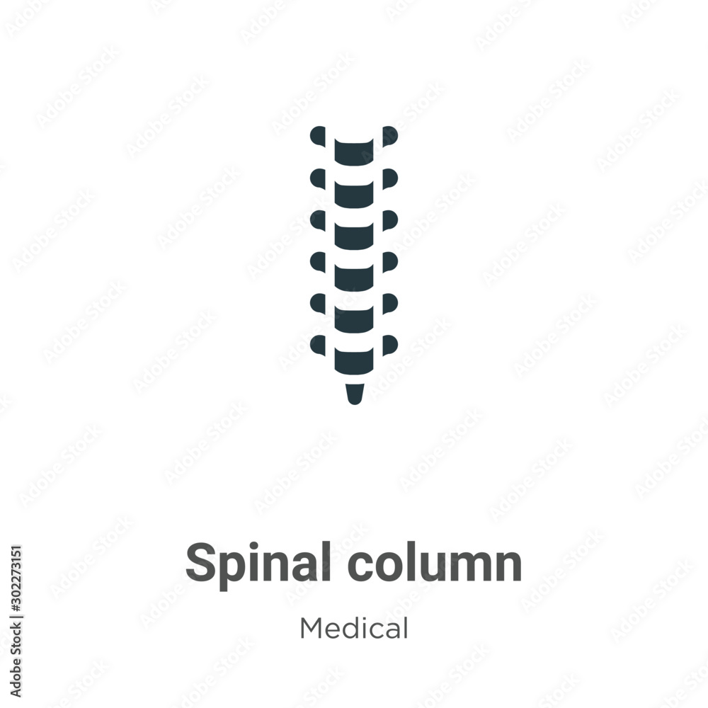 Spinal column vector icon on white background. Flat vector spinal ...